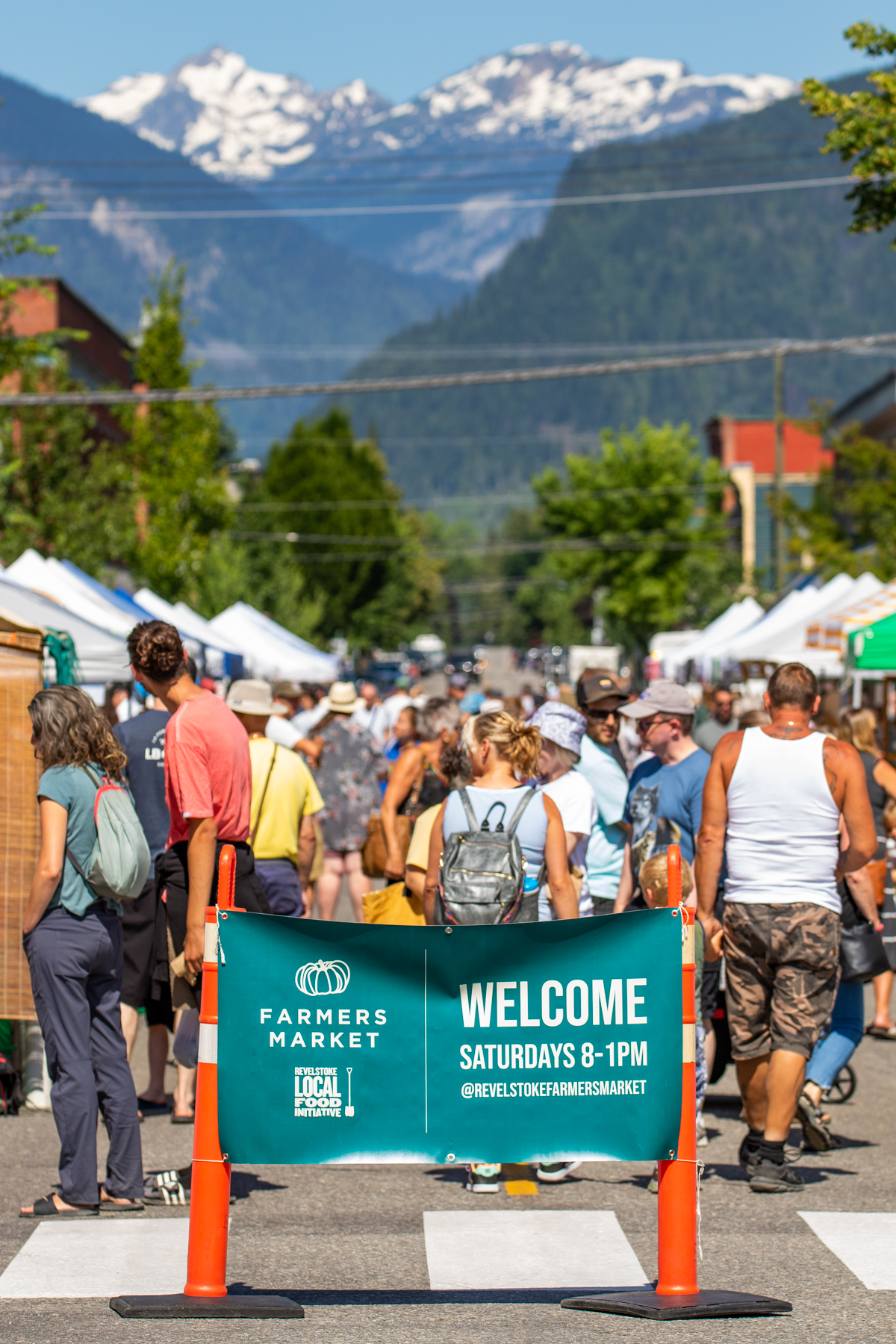 Find Markets - My Market Scout