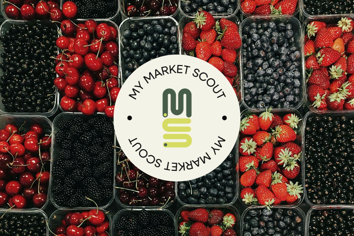 Find Markets - My Market Scout