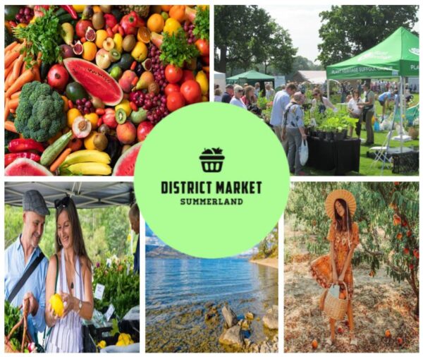 Find Markets - My Market Scout